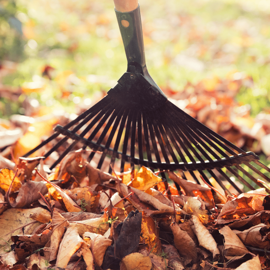 5 Tips To Reduce The Risk Of Back Pain While Raking Leaves | Urban Body ...